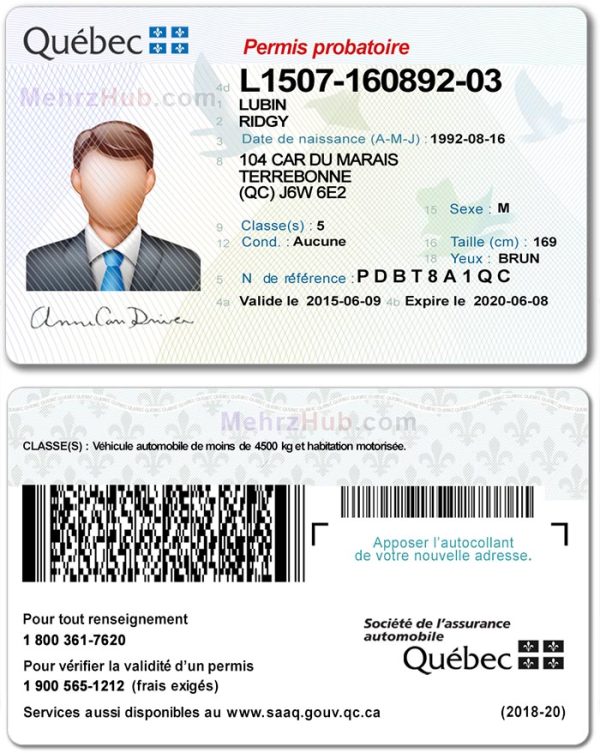Editable Quebec Driver License PSD Template MehrzHub editable-quebec-driver-license-psd-template-mehrzhub